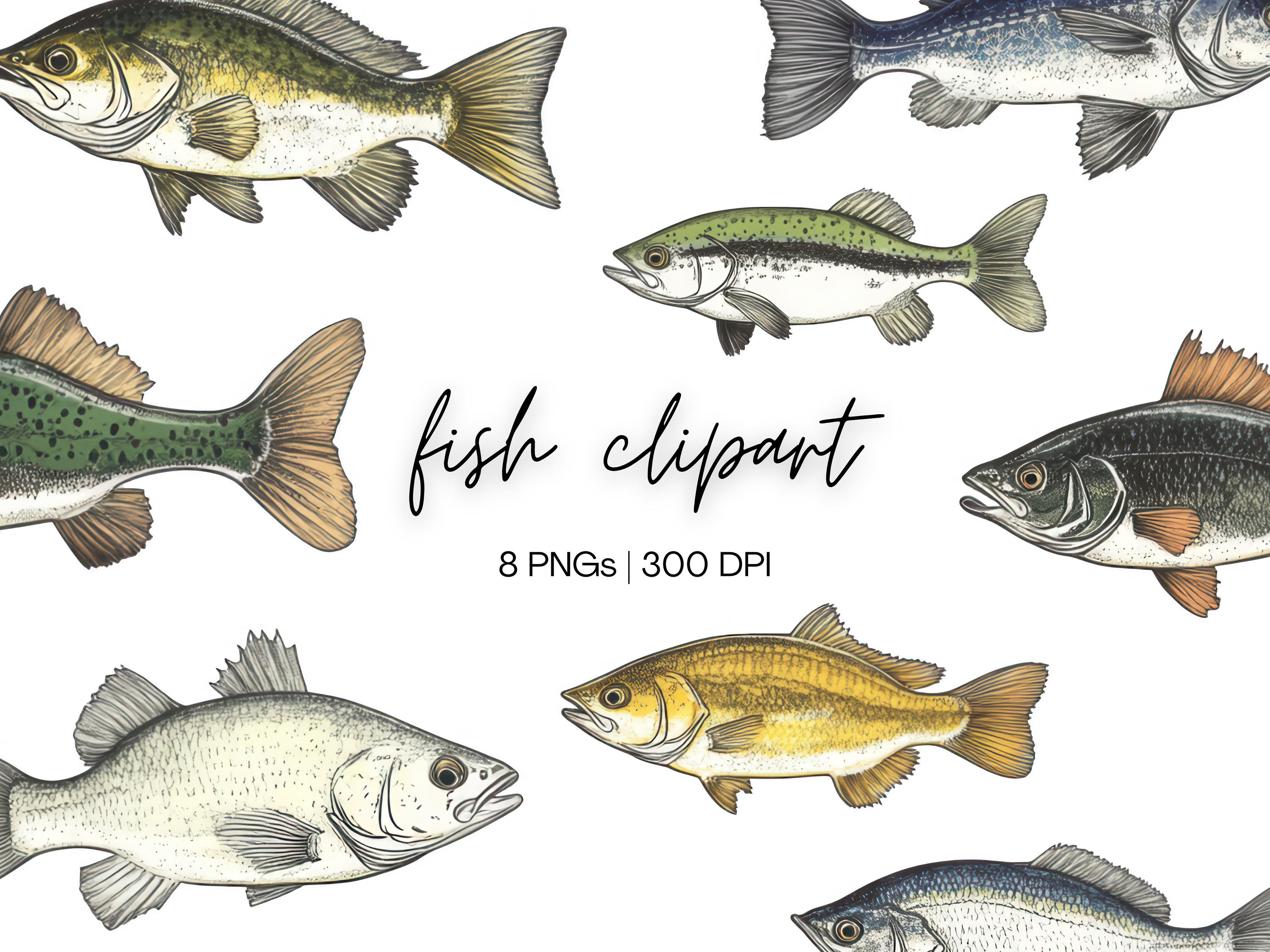 Fish Clipart Bundle | Fishing Clipart, Lake Fish Clipart, Fish ...