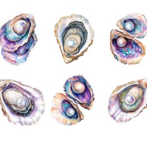 Oyster and Pearl Clipart Bundle | Sea Life Clipart, Watercolor Clipart ...