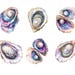 Oyster and Pearl Clipart Bundle | Sea Life Clipart, Watercolor Clipart ...