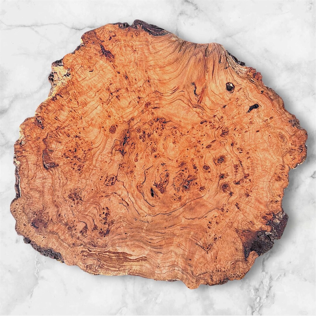 Natural Black Cherry Burl • Live Edge Wood Slab • Approx 12” Across X 2 ...