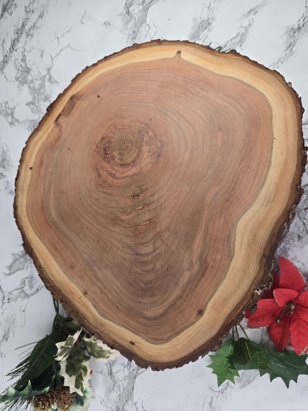 Black Cherry Live Edge Wood Slices/rounds | Approx 10-11” Across, 1-2 ...