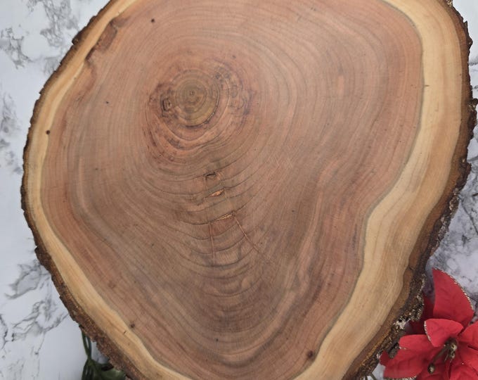 Black Cherry Live Edge Wood Slices/rounds | Approx 10-11” Across, 1-2 ...