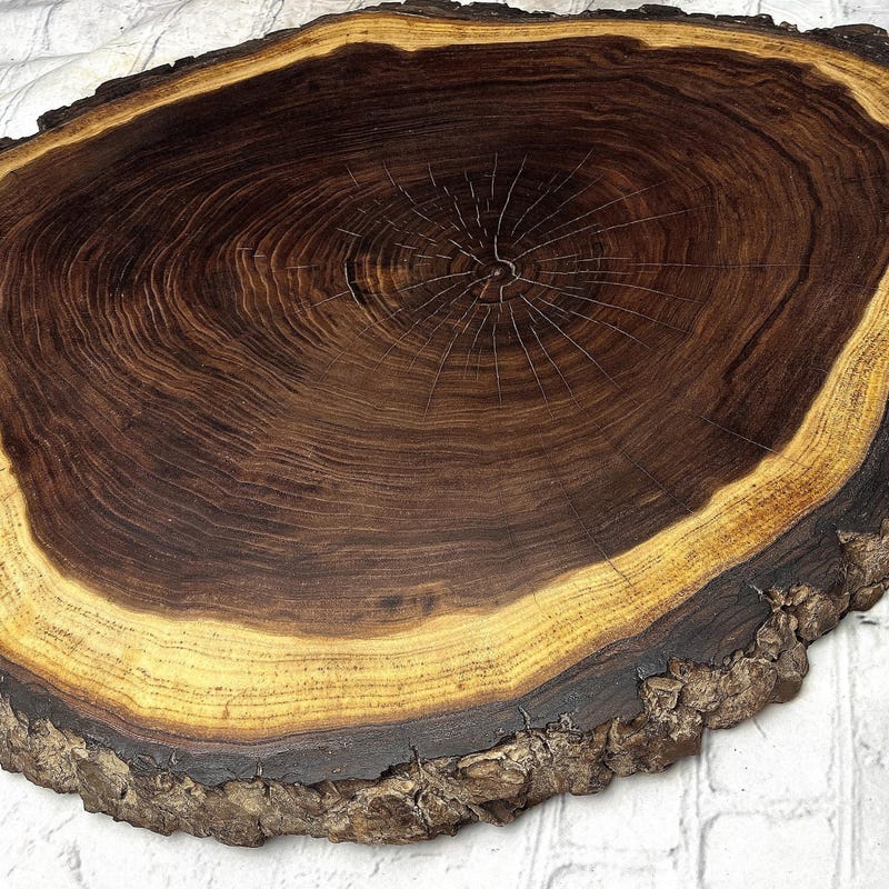 Black Walnut Slices - Etsy