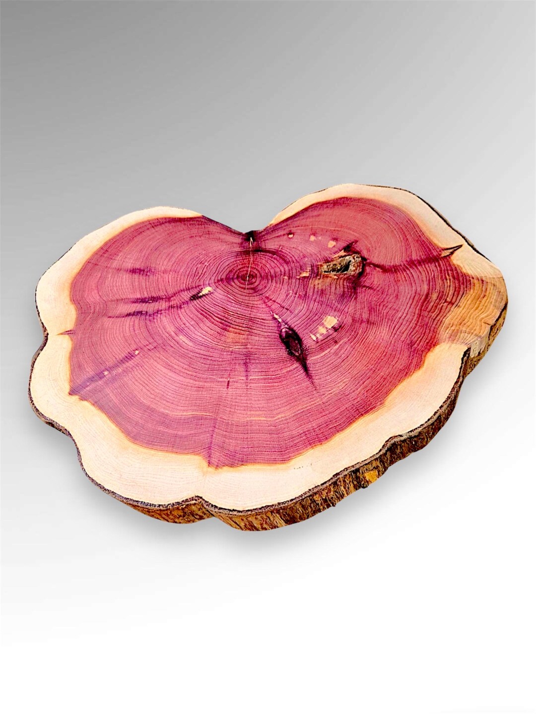 Eastern Red Cedar Live Edge Wood Slices | Rounds | Rustic Home Decor ...