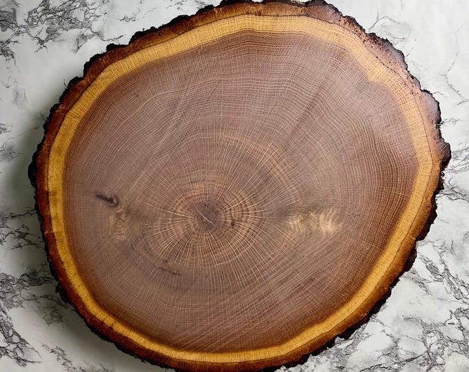 Red Oak Live Edge Wood Slices • Wood Rounds • Approx 10”-12” Diameter ...