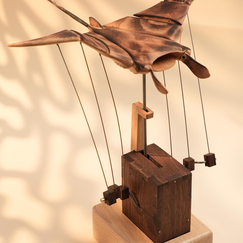 Manta Ray Moving Art - Etsy UK