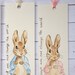 Peter Rabbit Bookmark - Etsy