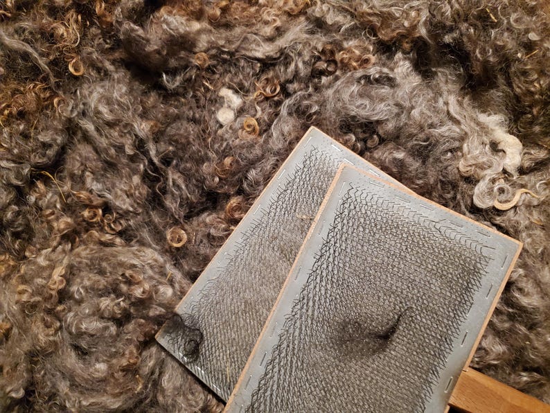 Clean Raw Wool, Ready to Card, 1 Lb Lot - Etsy