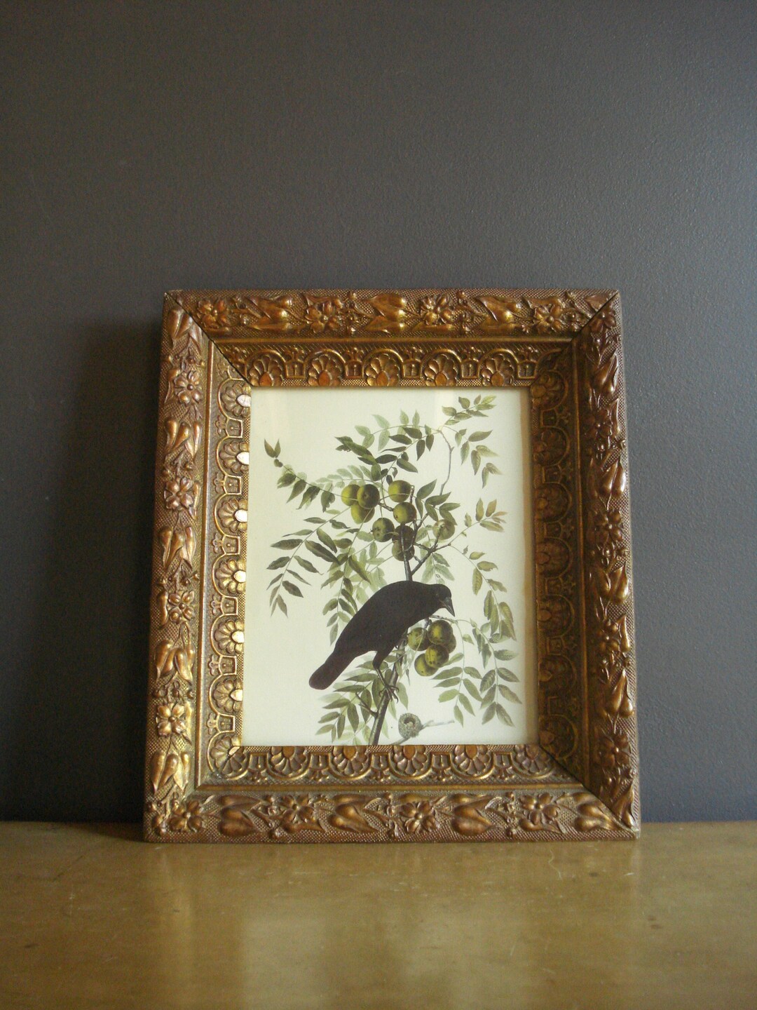 Golden Crow - Vintage Crow Print in Ornate Gold Antique Frame - Old ...