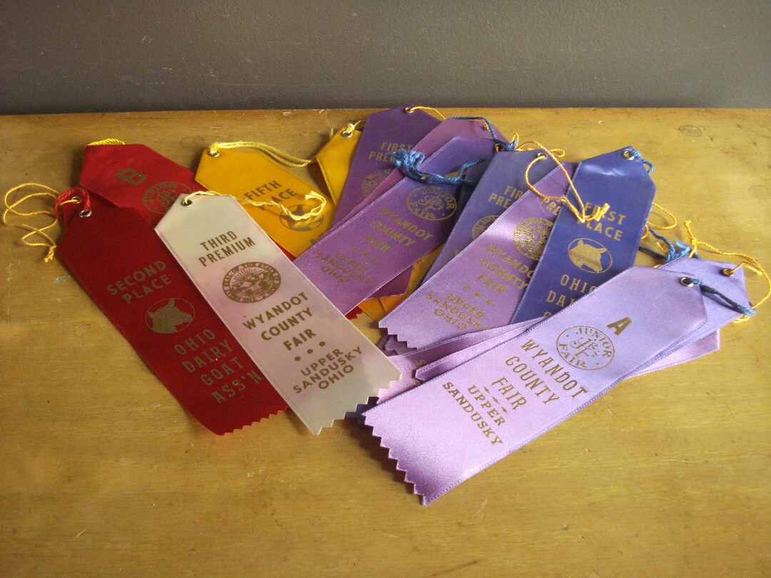 4H Champion - Lot of TWENTY (20) Vintage Award Ribbons - Red, Purple ...