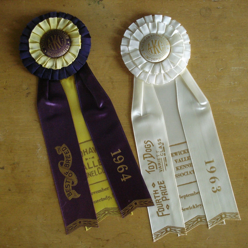 Dog Show Ribbons - Etsy