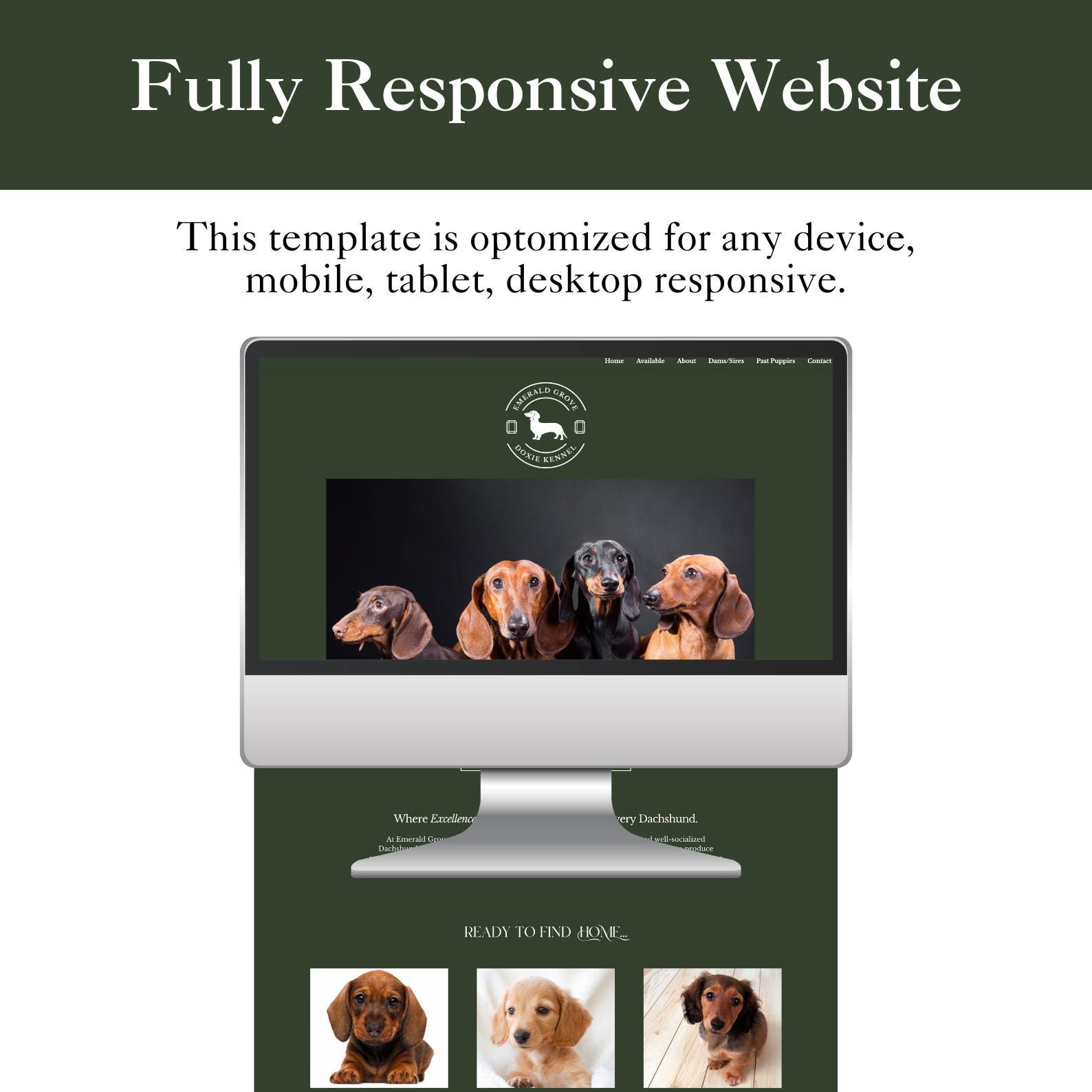 Dog Breeder Website Template - Elegant Pet Page, Web Template, Dog Show ...