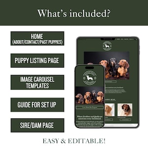 Dog Breeder Website Template - Elegant Pet Page, Web Template, Dog Show ...