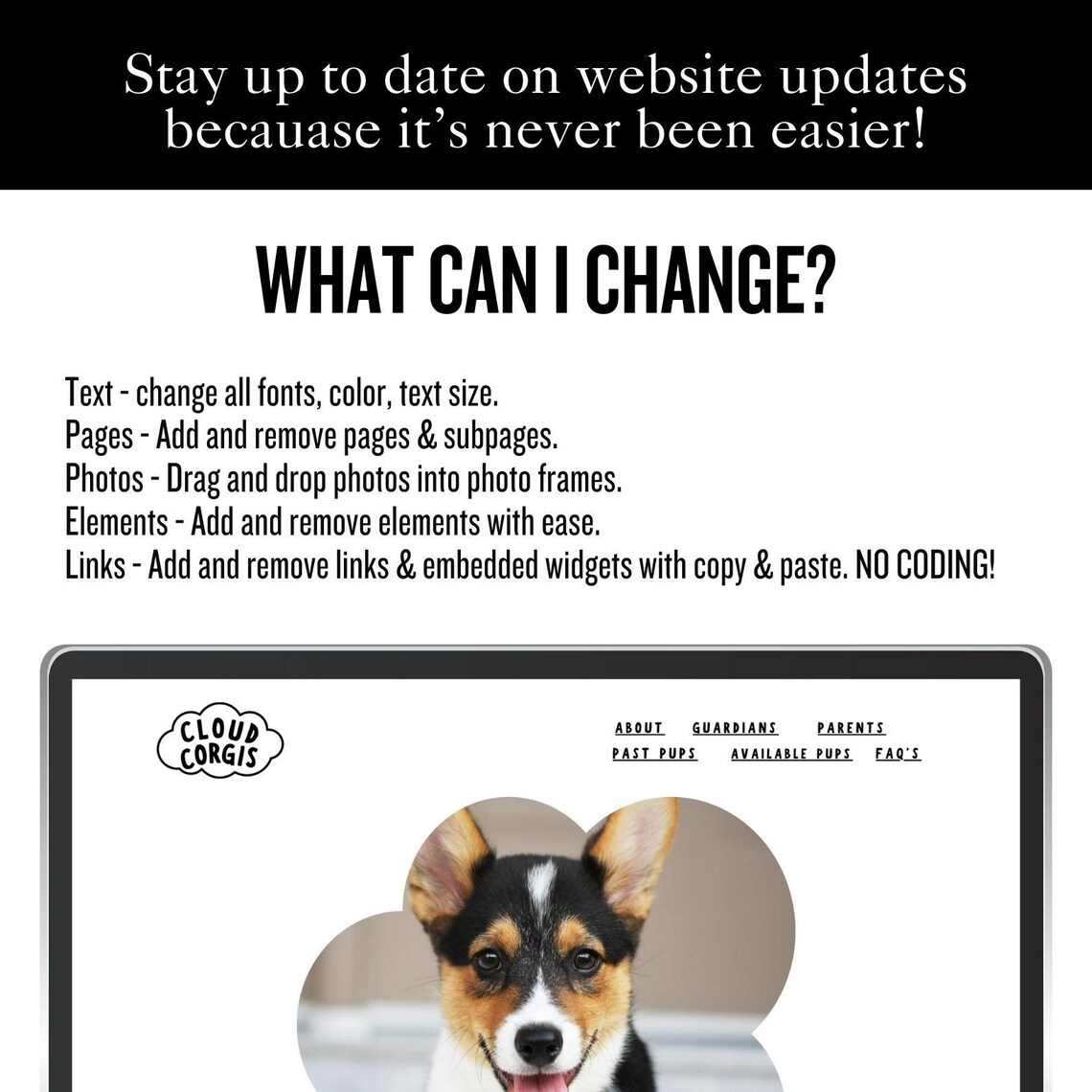 Dog Breeder Website Template, Canva Website Template, Canva Website ...