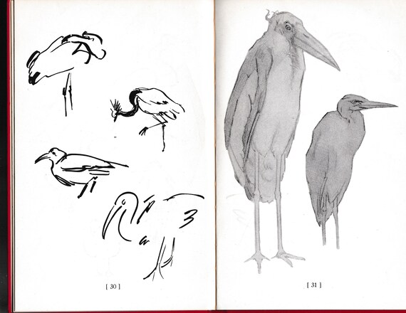 Alexander Calder Animal Drawings