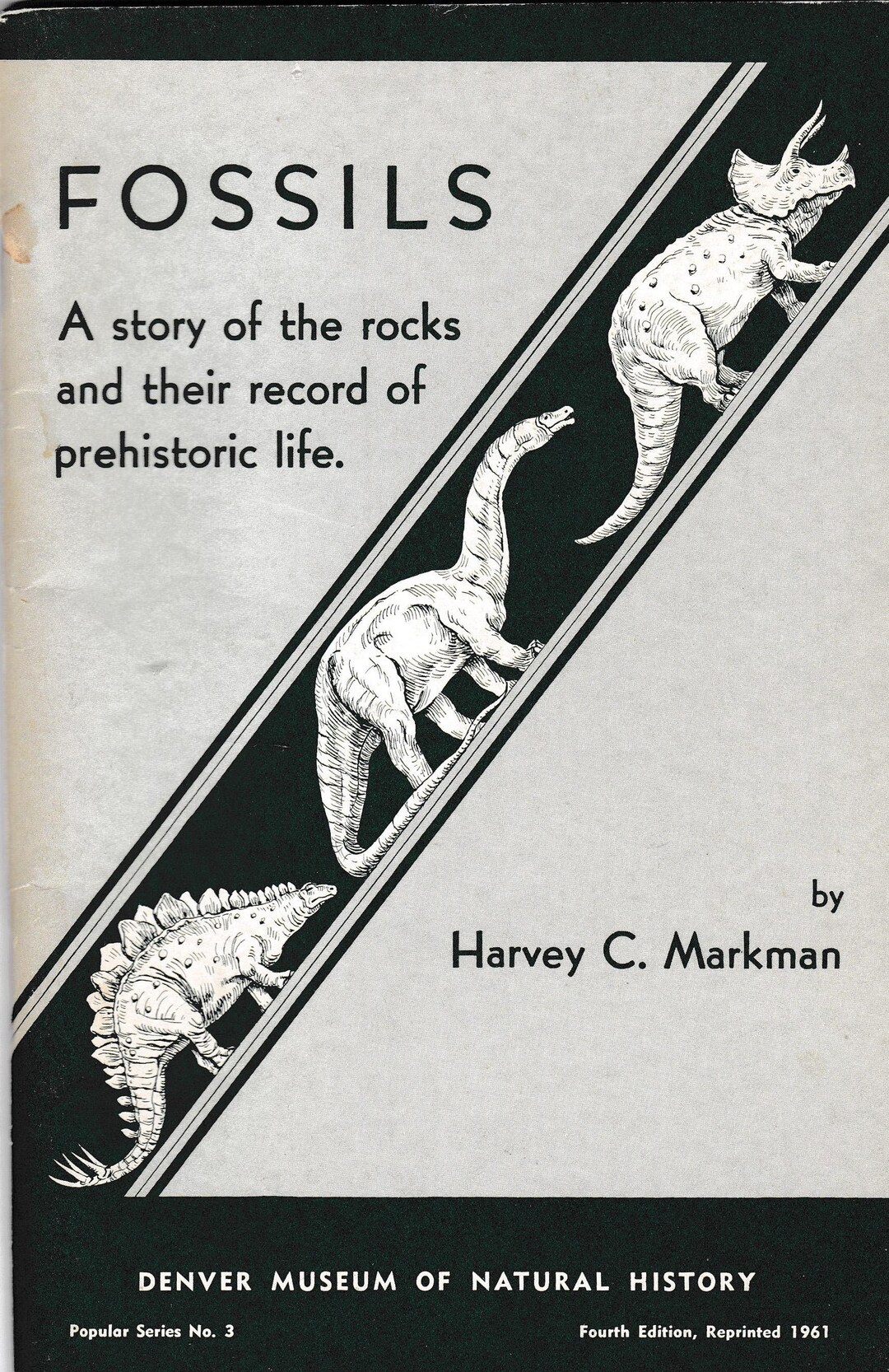 FOSSILS, 1961 Denver Museum Brochure - Etsy