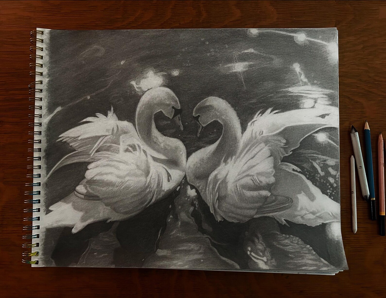Swans Pencil Drawing - Etsy