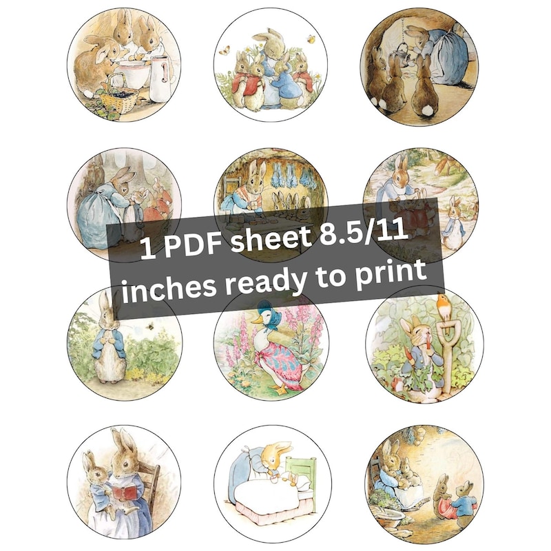 Peter Rabbit Cupcake Topper - Etsy