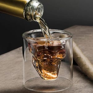 Handcrafted Skull Gothic Design Unique Tumbler for Whisky Lovers ...