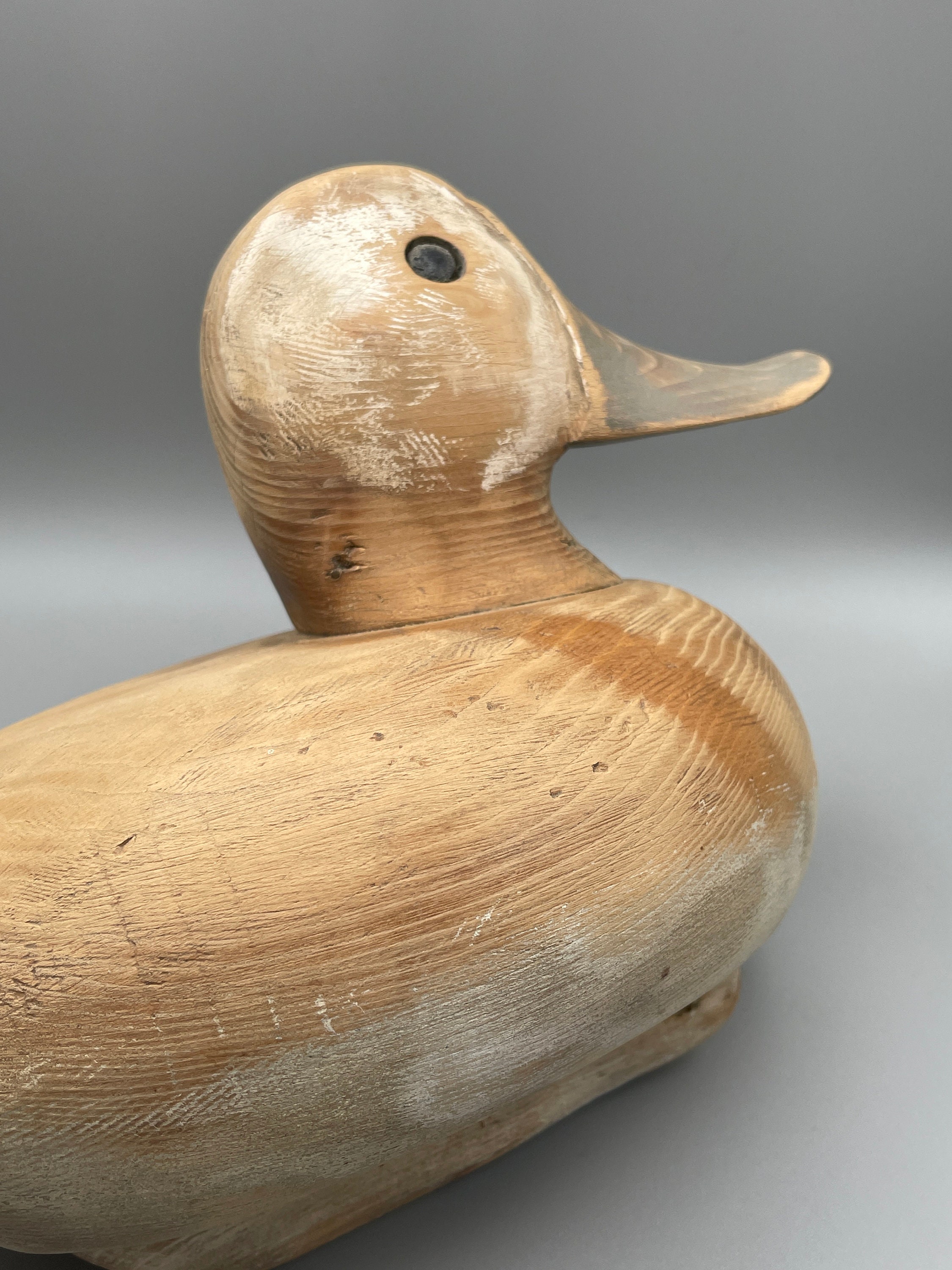 Original Wood Carving Ruddy Duck by Renown Carver Robert Macinnis of ...