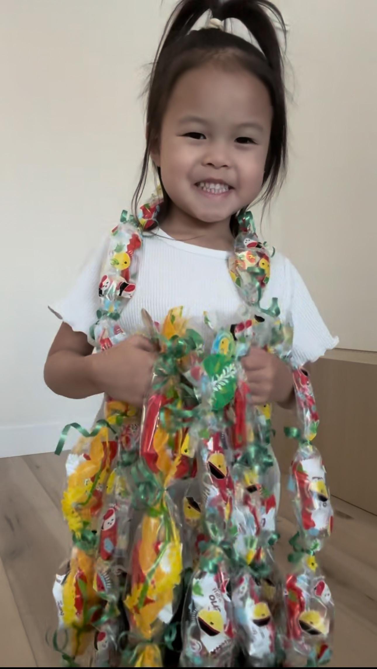 Candy Lei Kit Graduation Lei Birthday Lei Hibiscus Lei Plumeria Lei ...