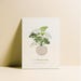 I Am Monstera-bly in Love With You Valentine's Card, Cute Monstera ...