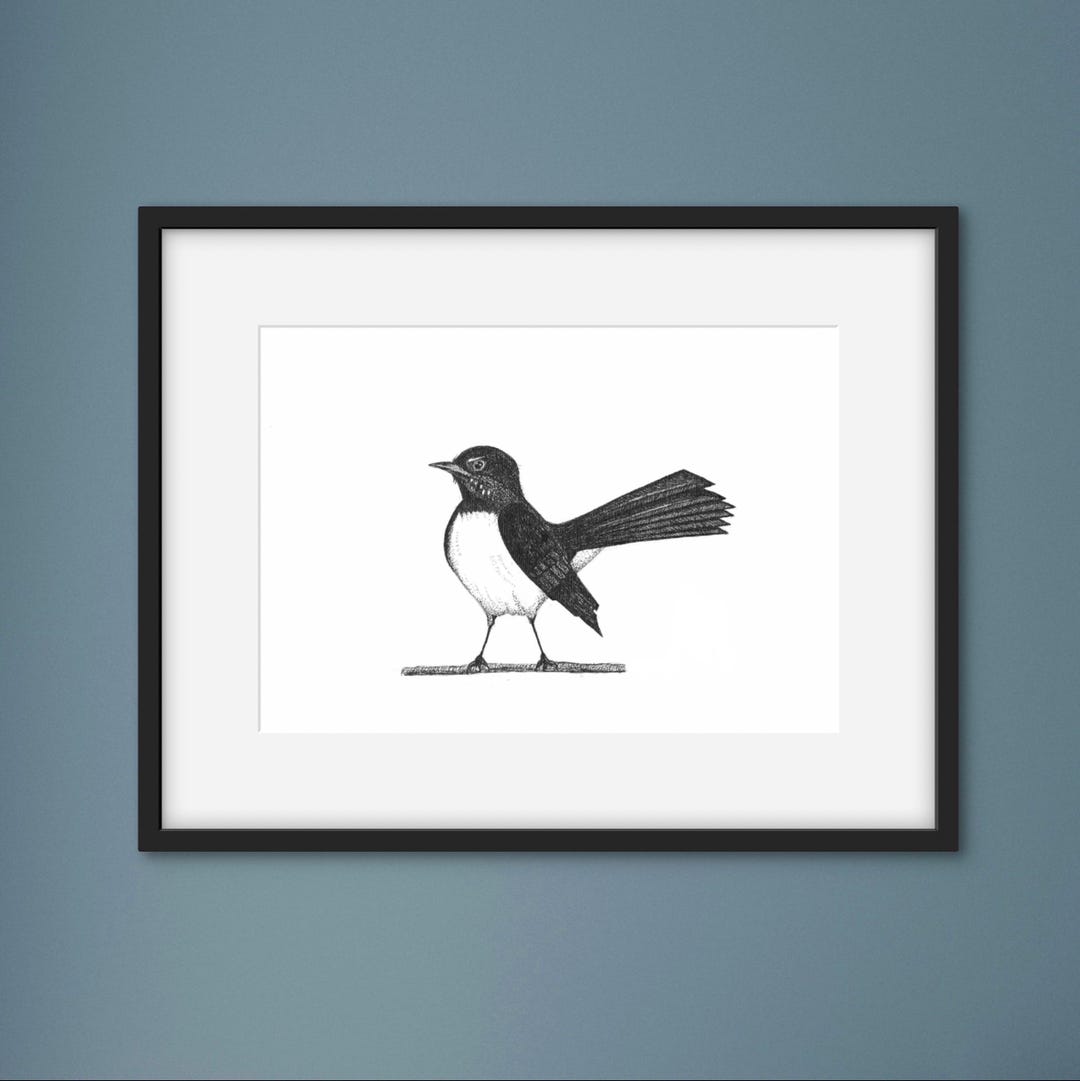Willy Wagtail Sketch Print - Etsy