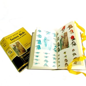 Field Book of Eastern Birds Byleon Augustus Hausman, Illustrated, Bird ...