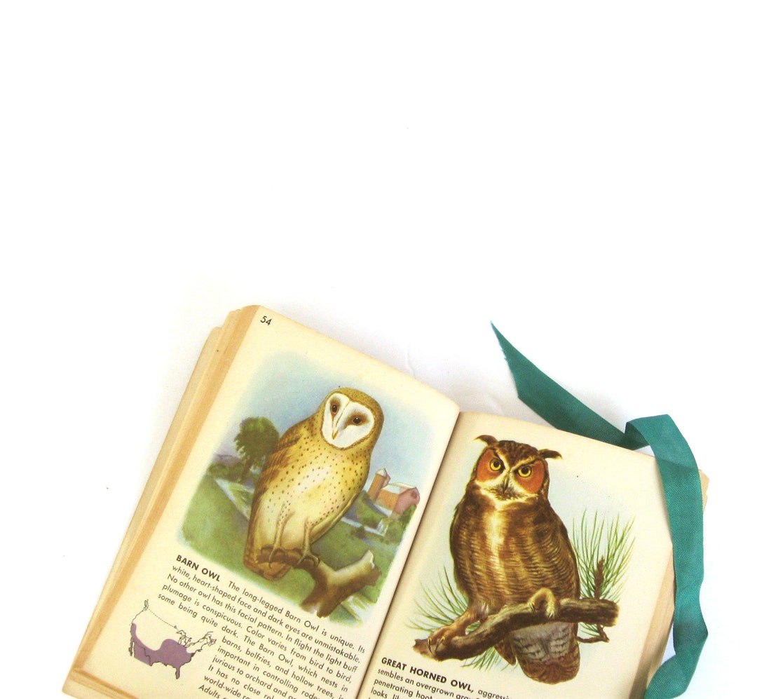 Golden Nature Guide ORNITHOLOGY Bird Book 1956 Collectible Vintage ...