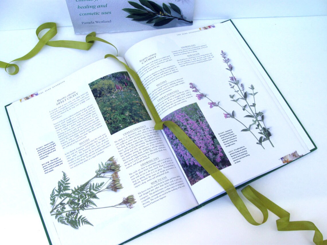 The Herb Handbook by Pamela Westland Herb Guide Growing | Etsy