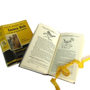 Field Book of Eastern Birds Byleon Augustus Hausman, Illustrated, Bird ...