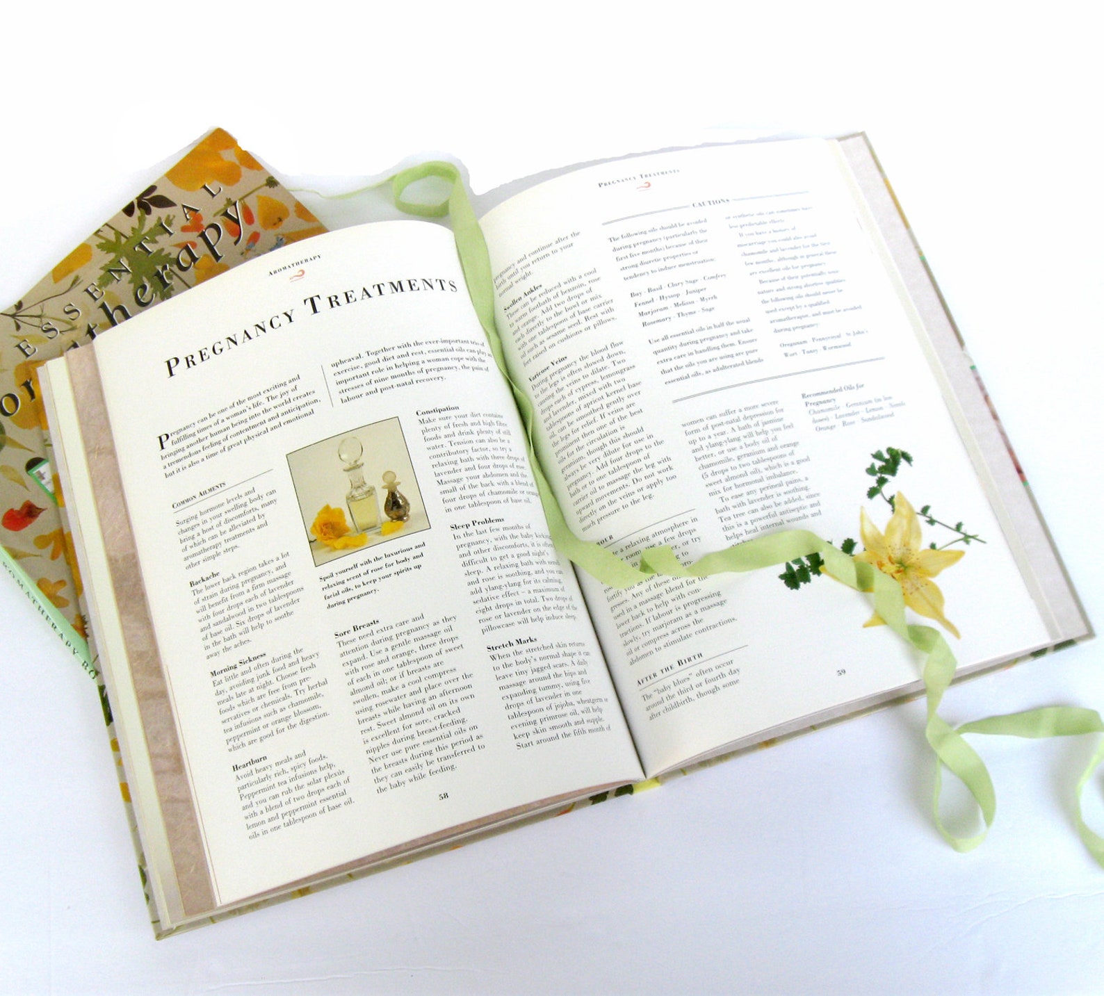 The Essential Aromatherapy Book by Carole Mcgilvery and Jimi | Etsy