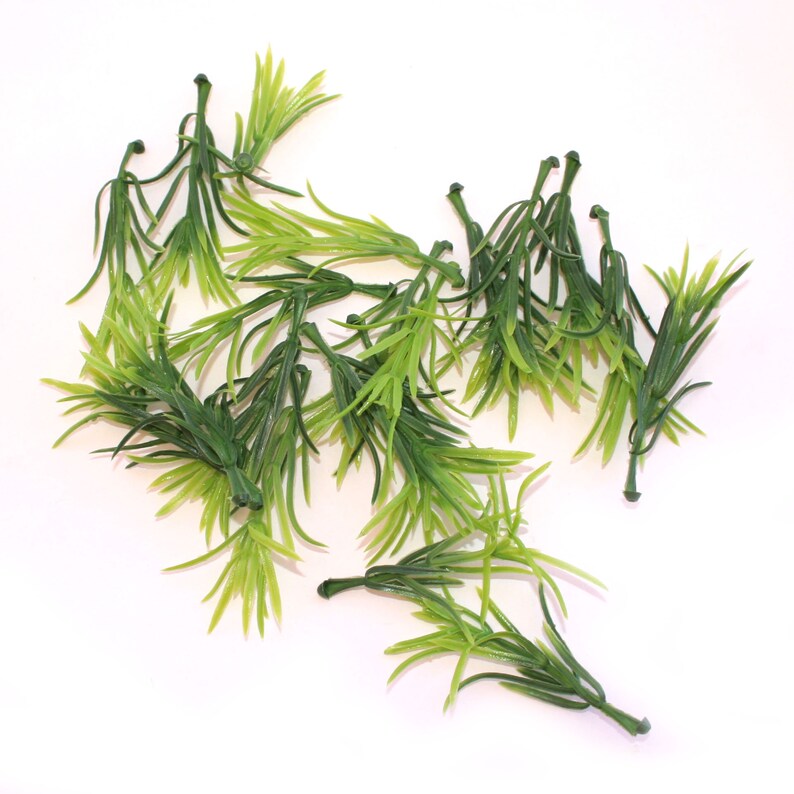 25 Green Sprigs - Pine Look - Free Shipping With Qualifying Purchase - Etsy