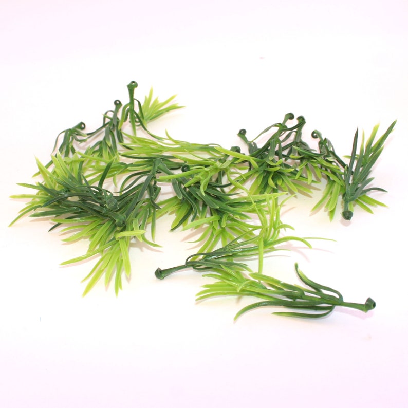 25 Green Sprigs Pine Look Free Shipping With Qualifying - Etsy
