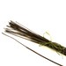 20 Stems for DIY Bouquets - Single Connector - Etsy
