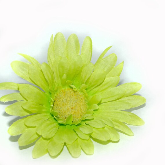 Lime Green Gerbera Daisies