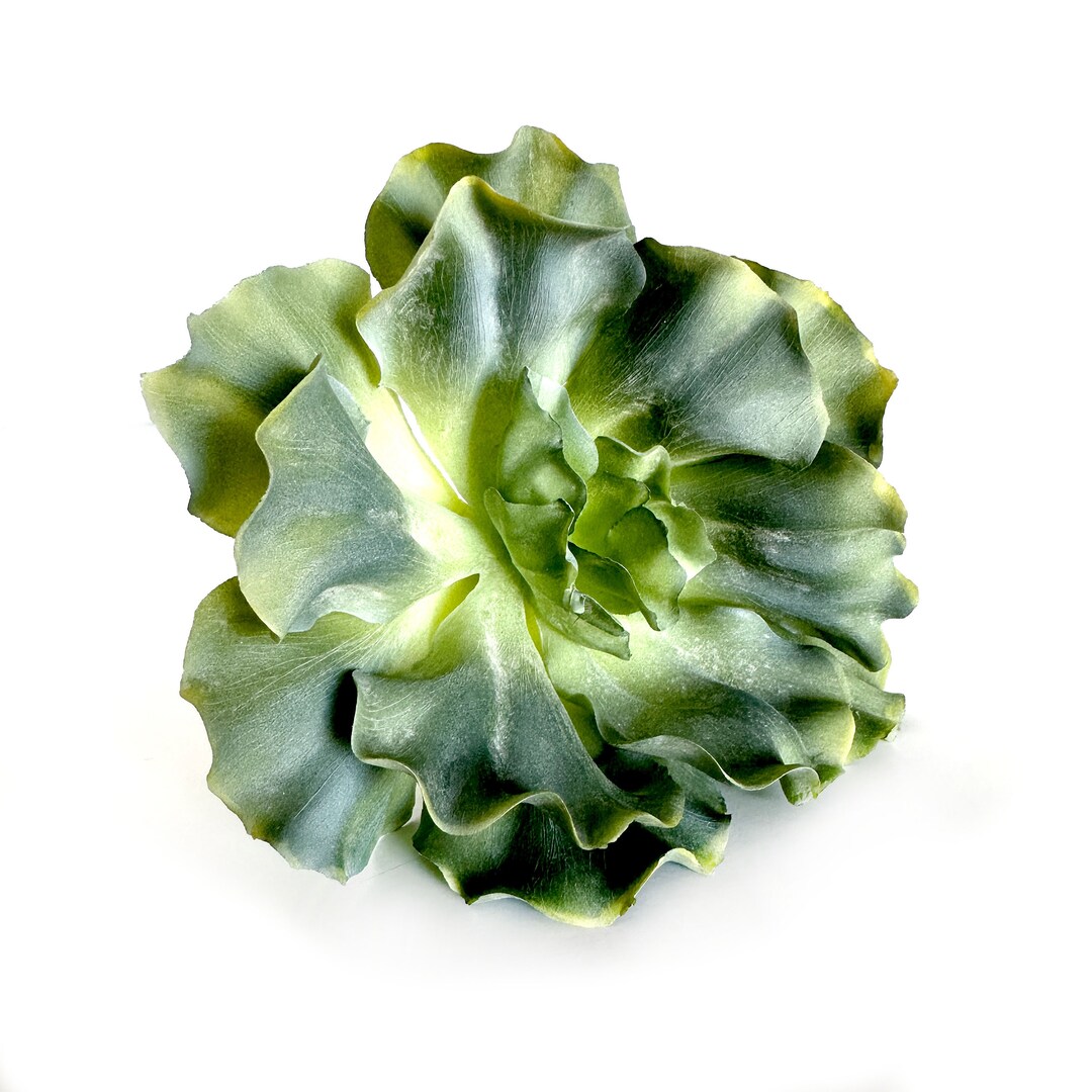Curly Green Echeveria Cabbage Succulent - Artificial Floral - Etsy