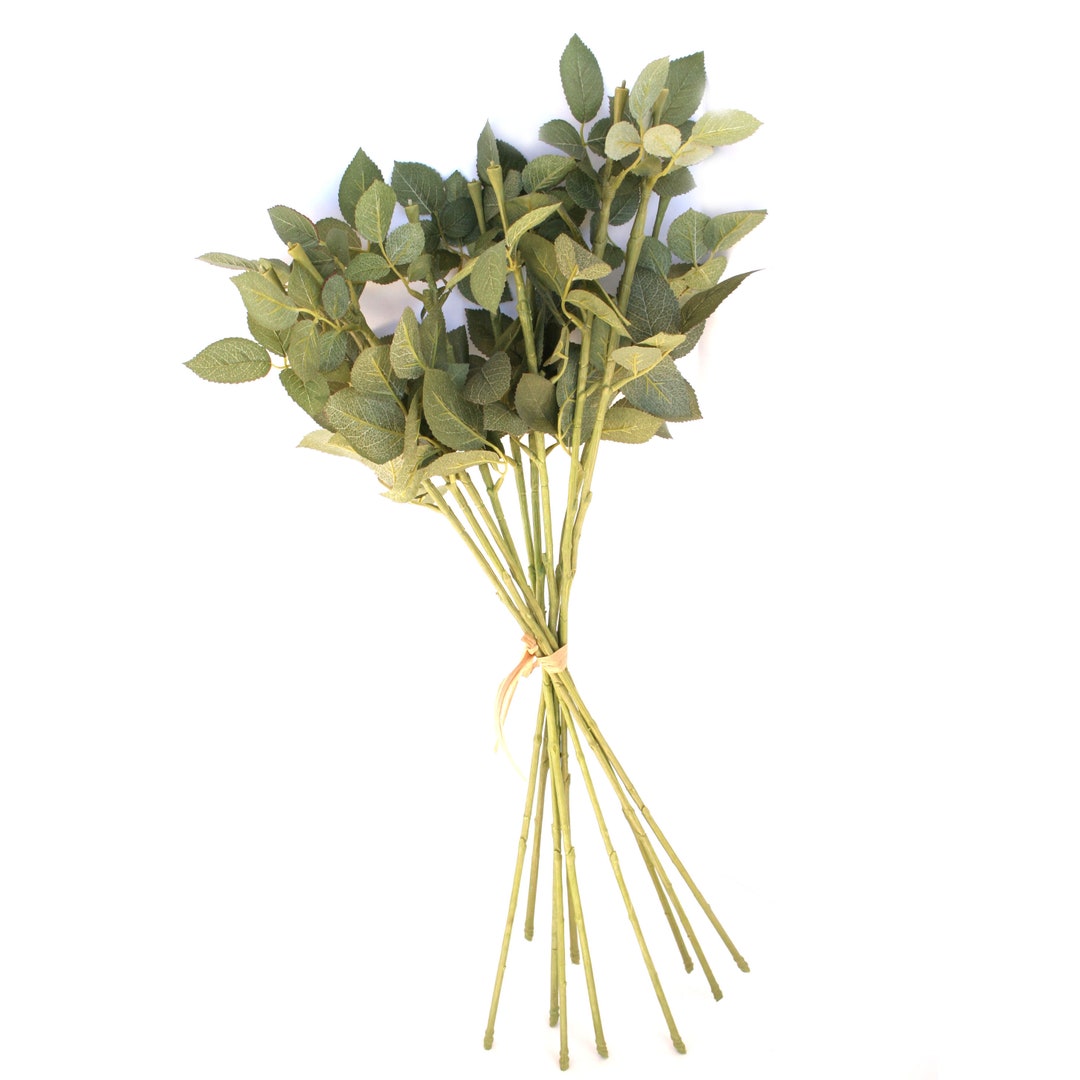 10 Botanical Rose Stems With Leaves for DIY Bouquets - Etsy