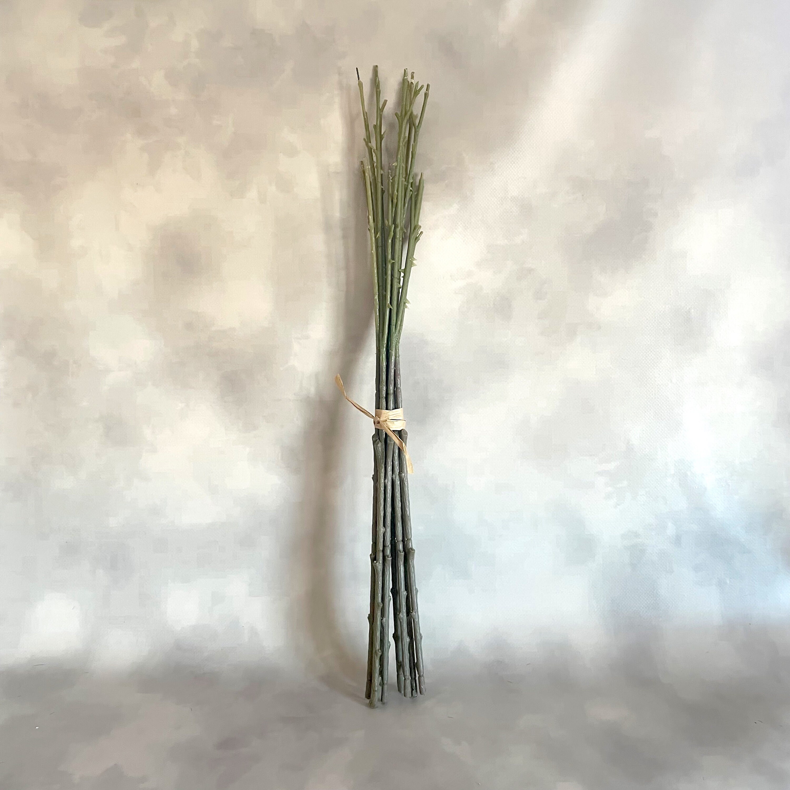 8 Bare Rose Stems for DIY Bouquets - 2 Floral Attachments and 3 Leaf ...