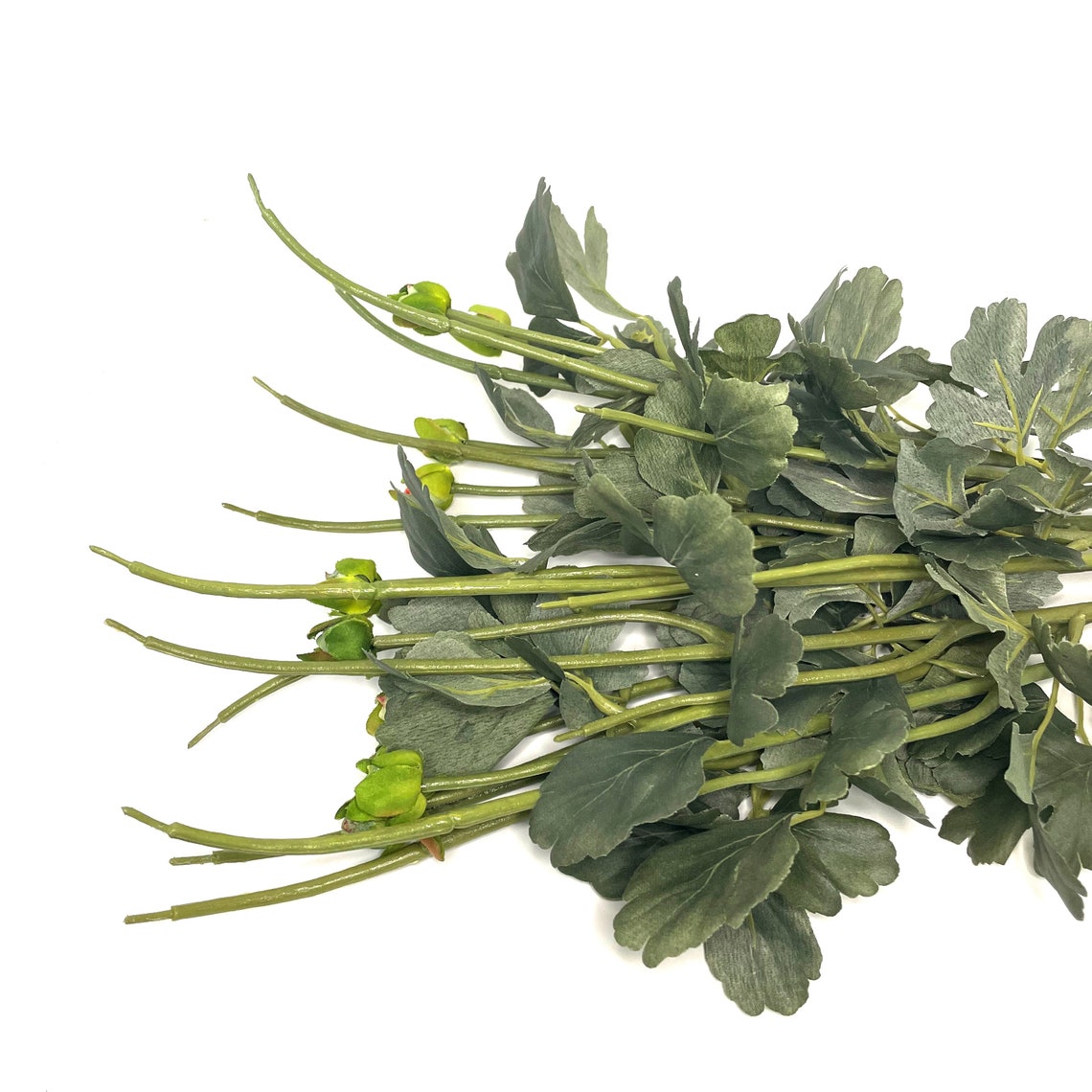 10 Botanical Floral Stems With Leaves for DIY Bouquets No - Etsy