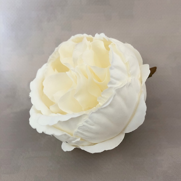 White Cabbage Rose - Etsy