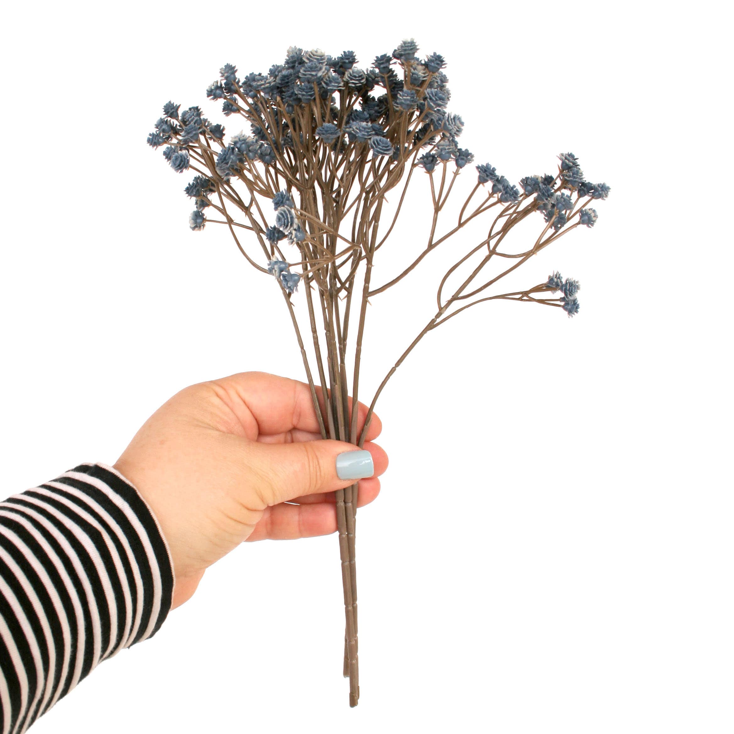 Blue Gypsophila Baby's Breath PRE-ORDER - Etsy