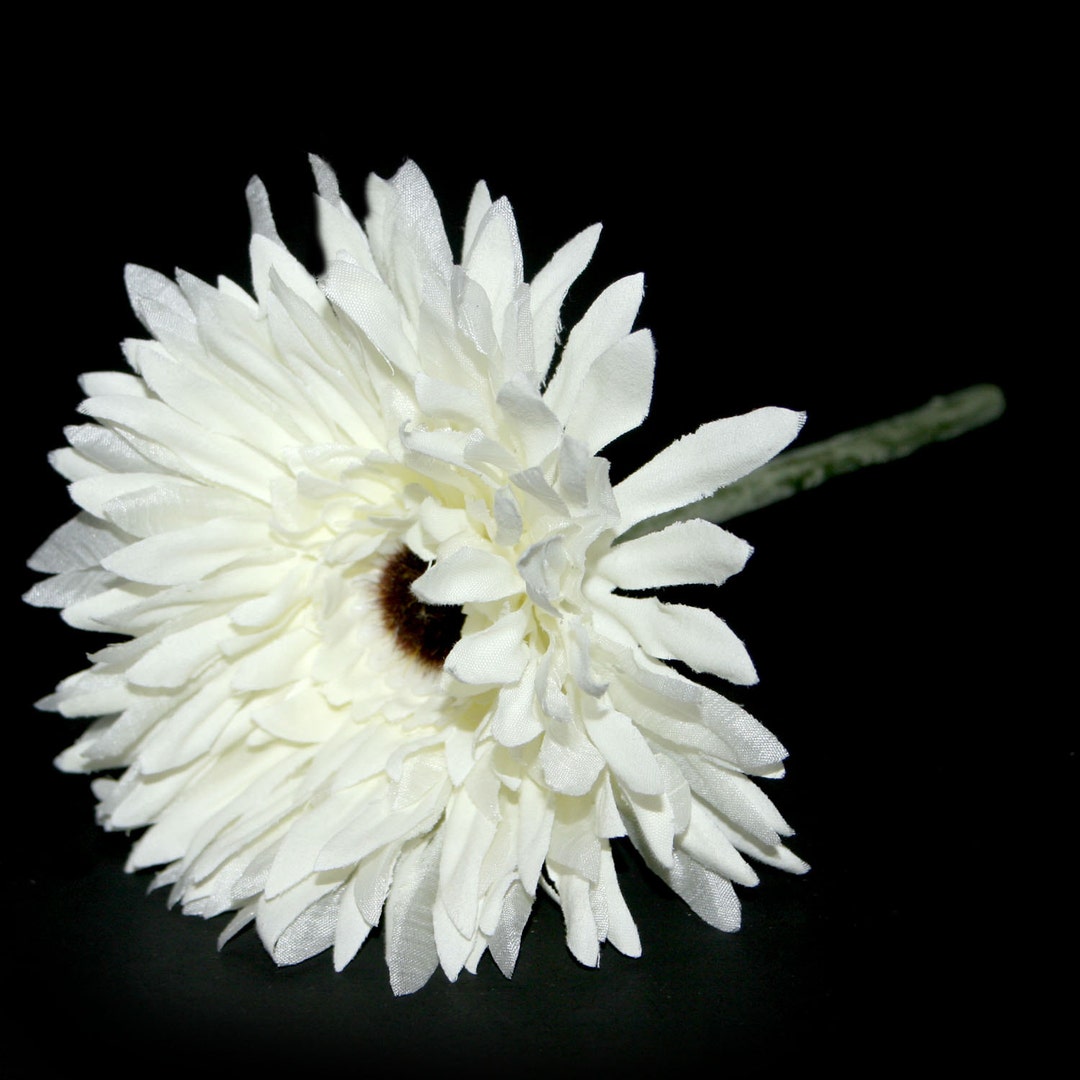 Creamy White Spider Daisy - Artificial Flower Head or Stem - Etsy