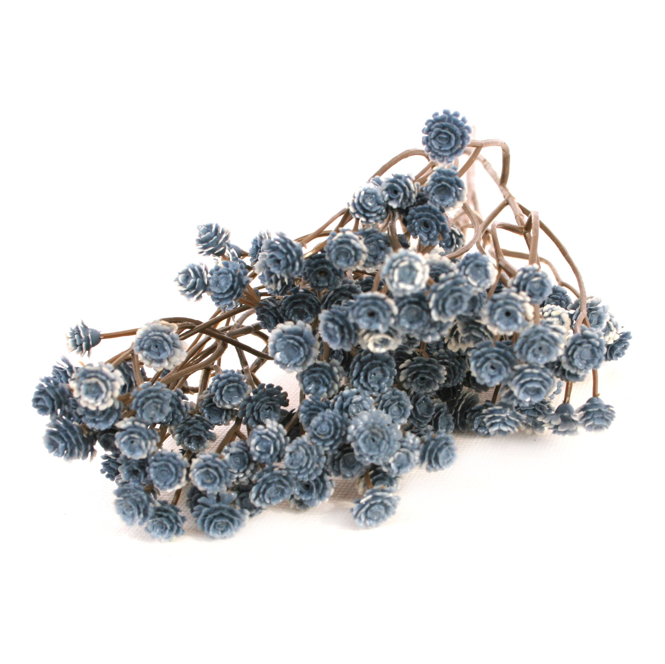 Blue Gypsophila Baby's Breath PRE-ORDER - Etsy