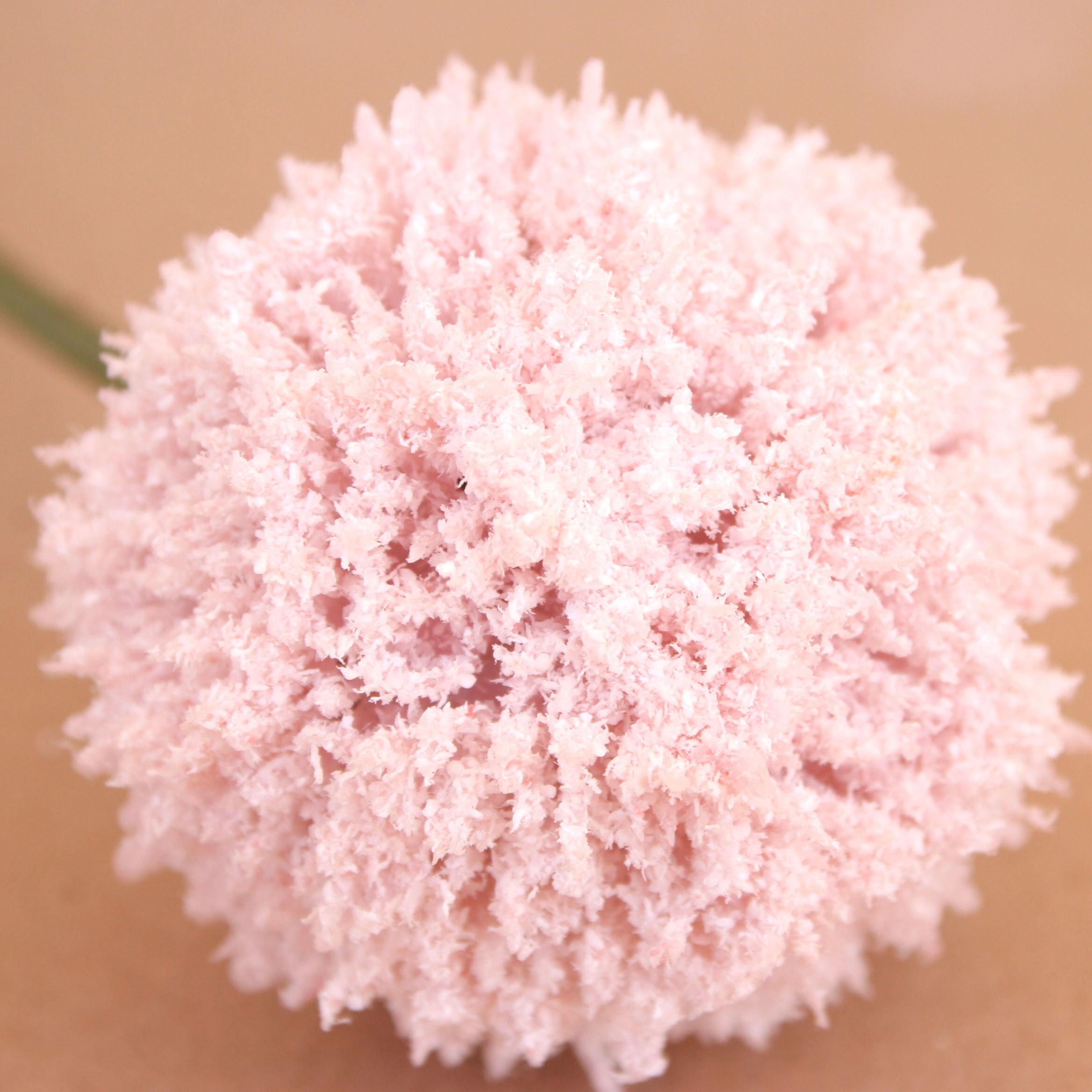 Pink Snowball Pick Odd Floral | Etsy