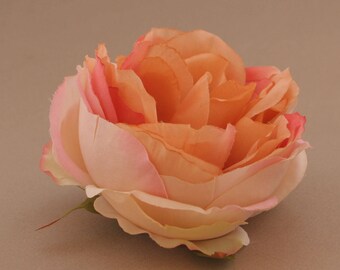 Pink cabbage rose | Etsy