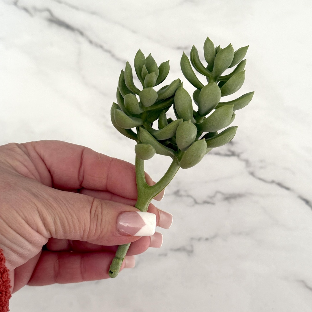 Artificial Mini Sedum Succulent Pick - Artificial Succulents - Etsy