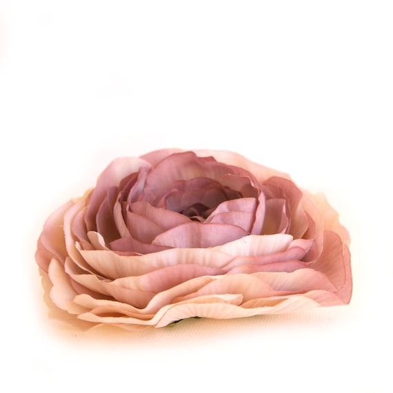 Blush Ranunculus