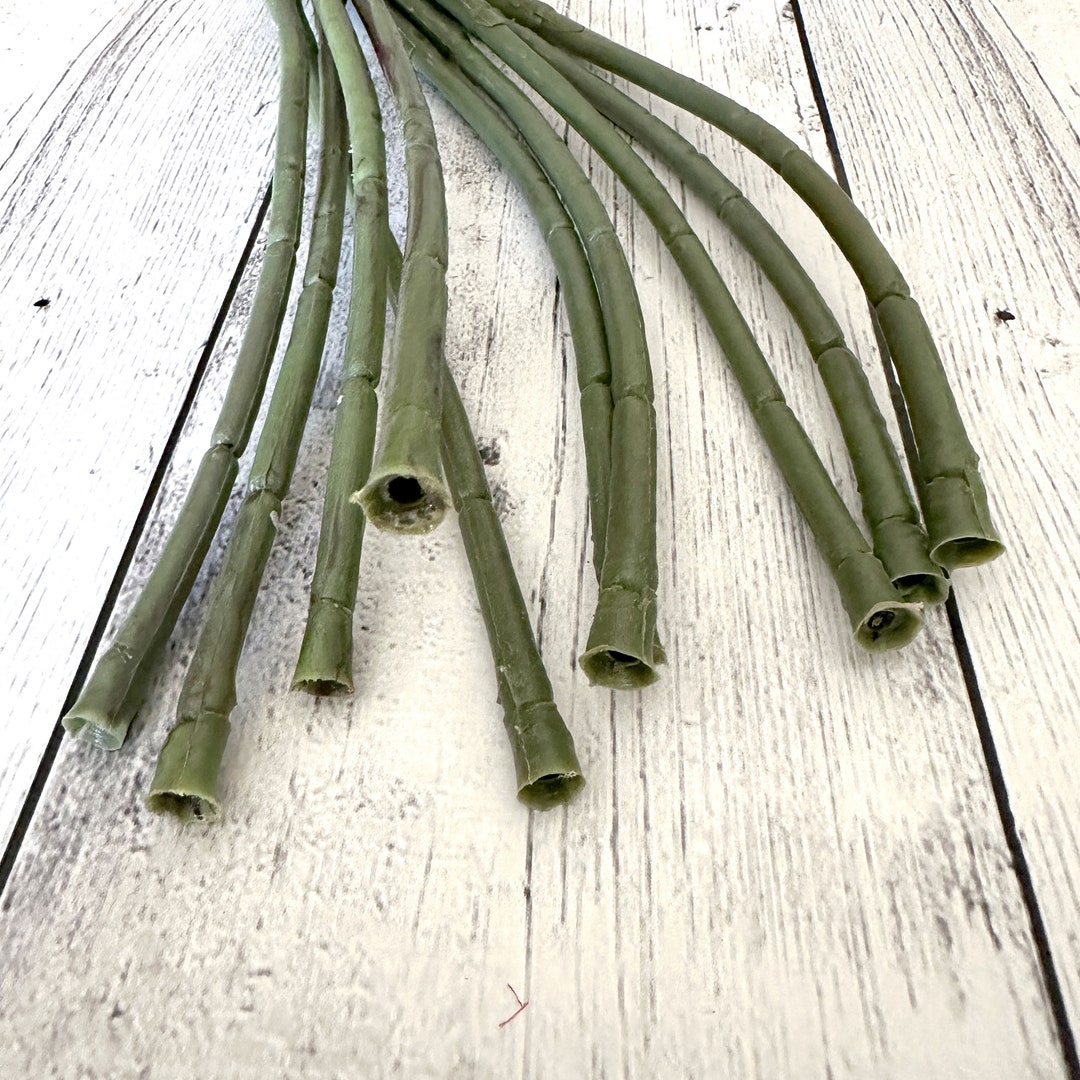 10 Thick Naked Floral Stems for DIY Bouquets - 23 Inches - Green Stems ...
