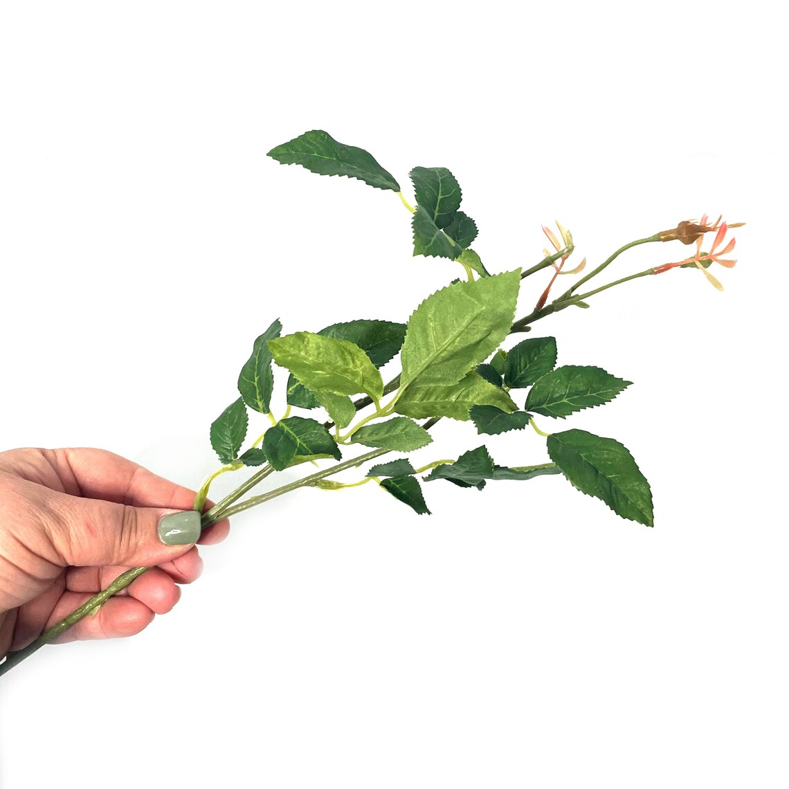 6 Botanical Rose Stems With Leaves for DIY Bouquets | Etsy